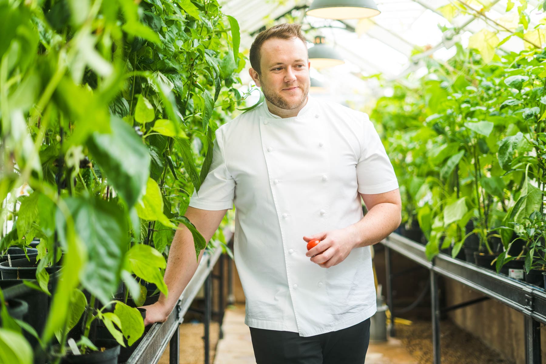 6 sustainability tips for hotel chefs